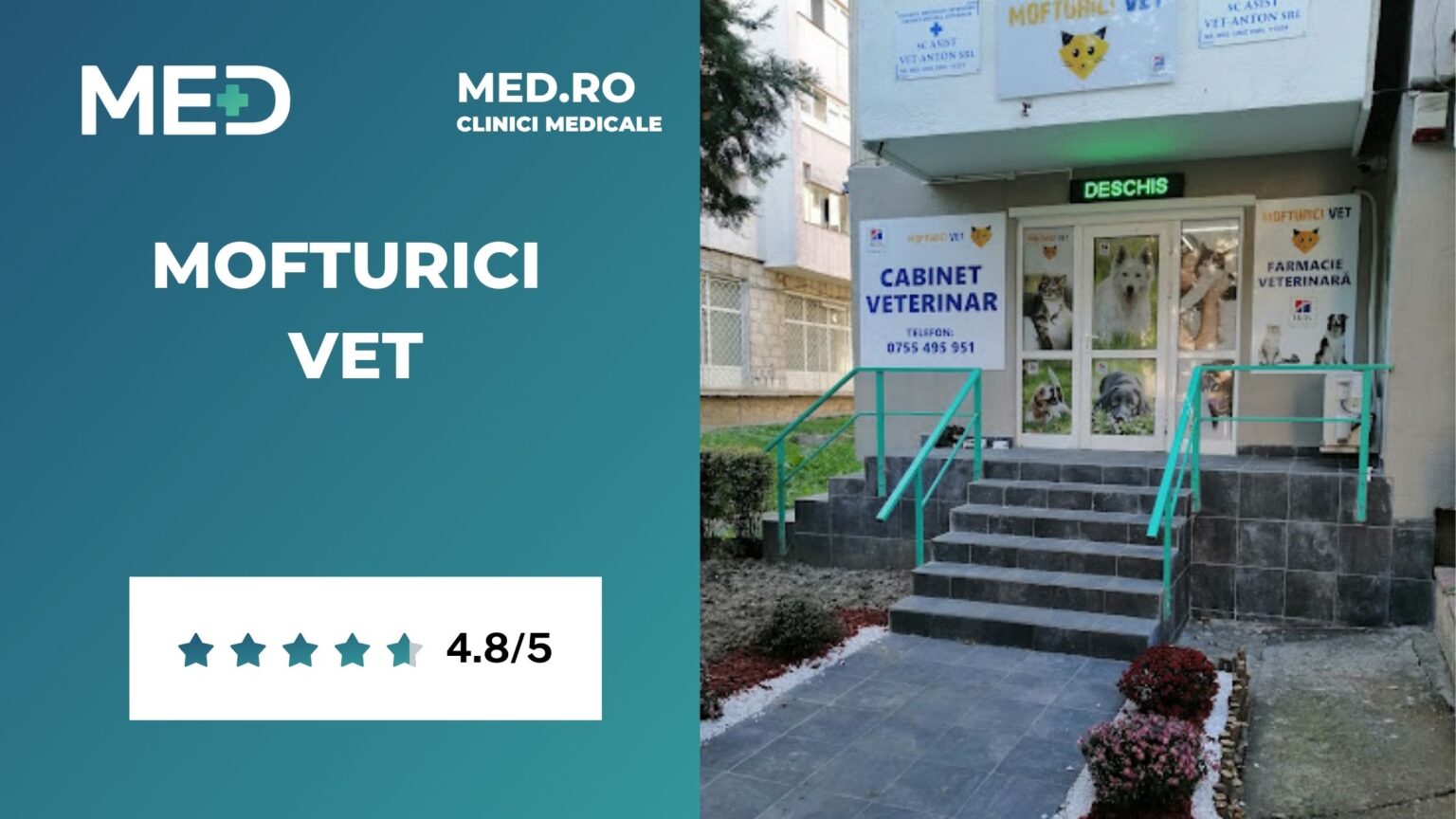 Veterinar Iasi – Top 5 Clinici, Prețuri & Programare Online