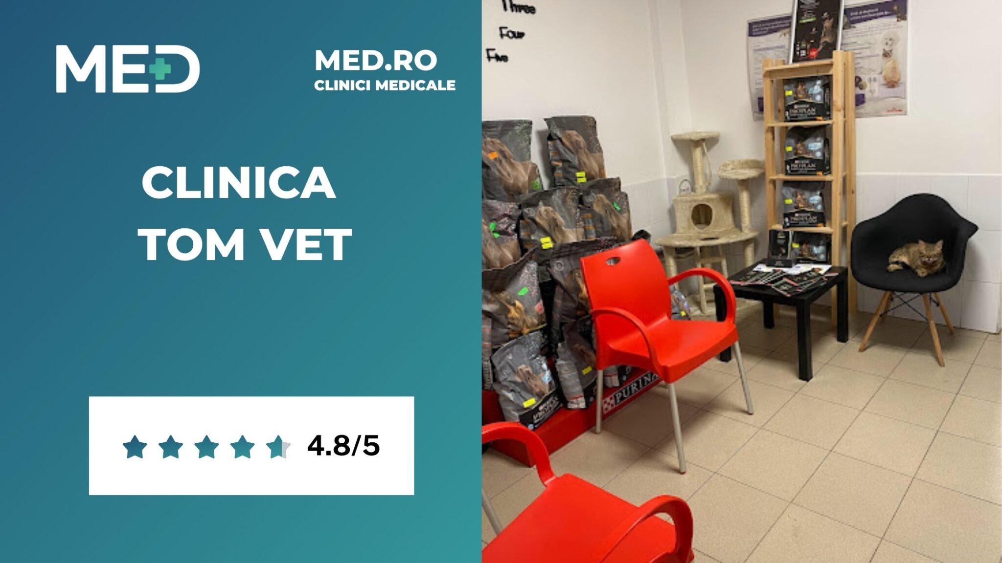 Veterinar Constanta – Top 5 Clinici, Prețuri & Programare Online