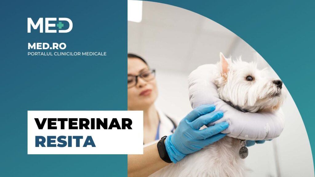 Veterinar Resita - Top 3 Clinici verificate - Med.ro
