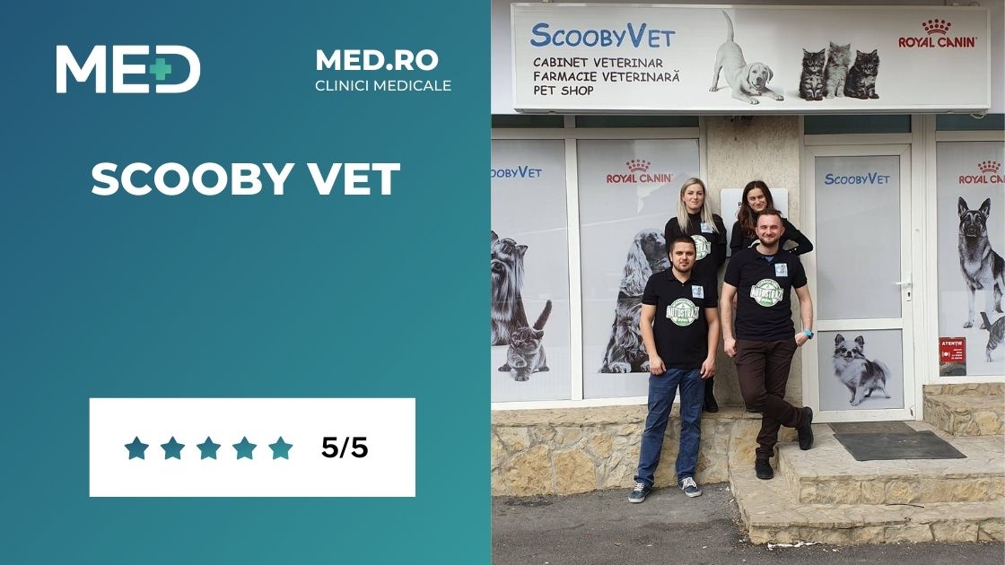 Veterinar Suceava – Top 5 Clinici, Prețuri & Programare Online